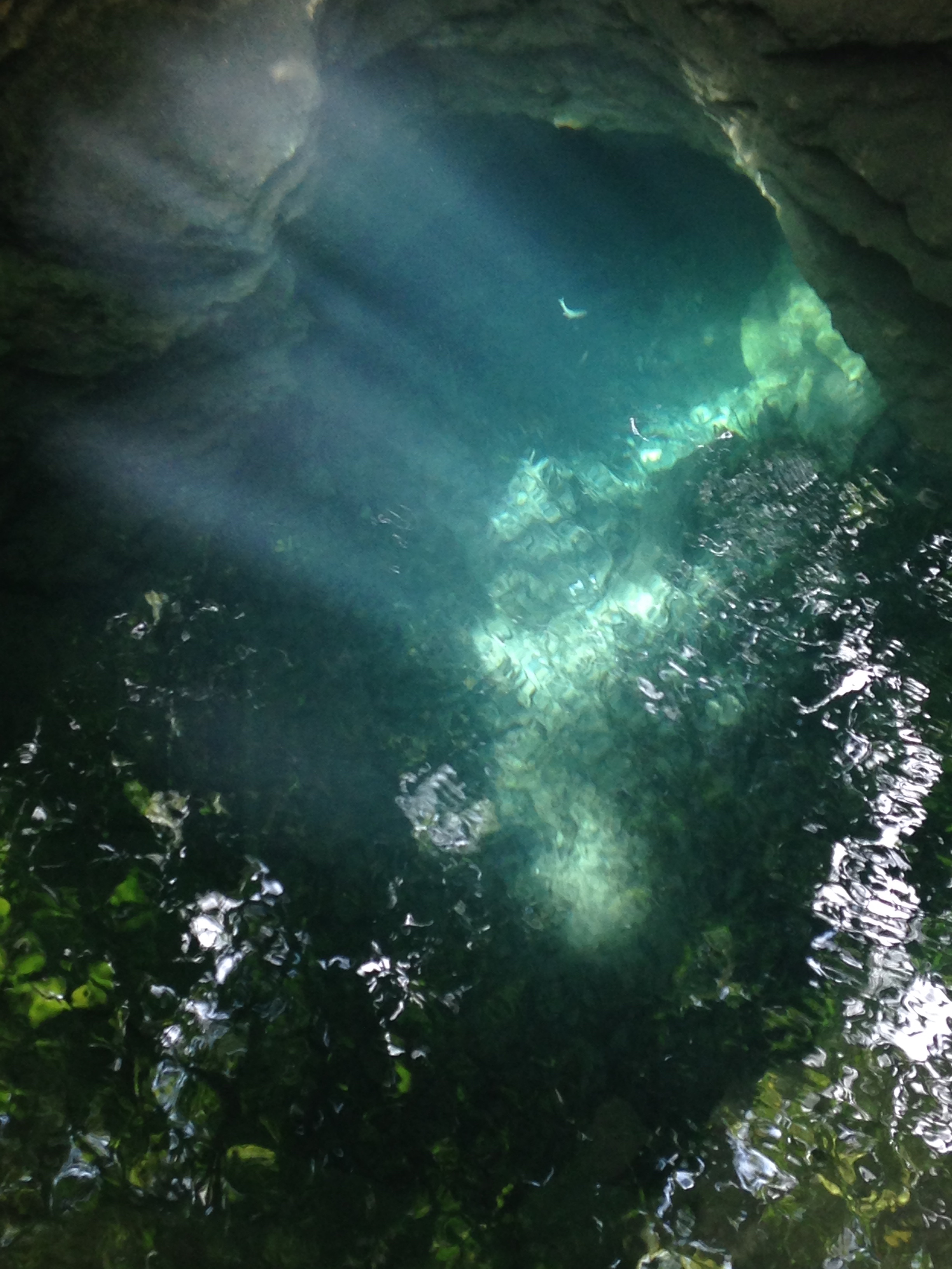 Headwaters of the San Antonio River - San Antonio Tourist