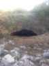 Bracken Cave - San Antonio Tourist