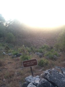 Bracken Cave - San Antonio Tourist
