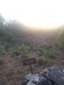 Bracken Cave - San Antonio Tourist