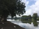 Elmendorf Lake Park, a jewel of San Antonio's West Side - San Antonio ...
